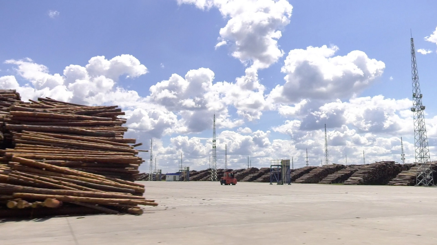 TJ Cuthand - Media City Film FestivalMedia City Film Festival