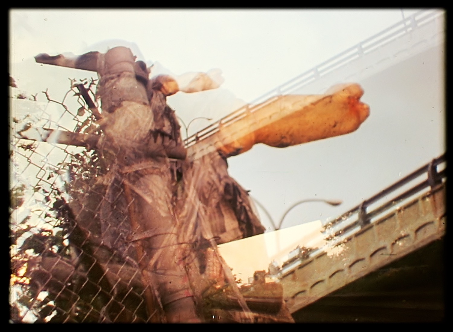 Lindsay McIntyre - Media City Film FestivalMedia City Film Festival